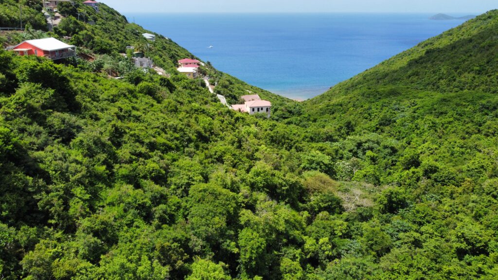 Mount Healthy Starter Lot - Emerald Properties BVI